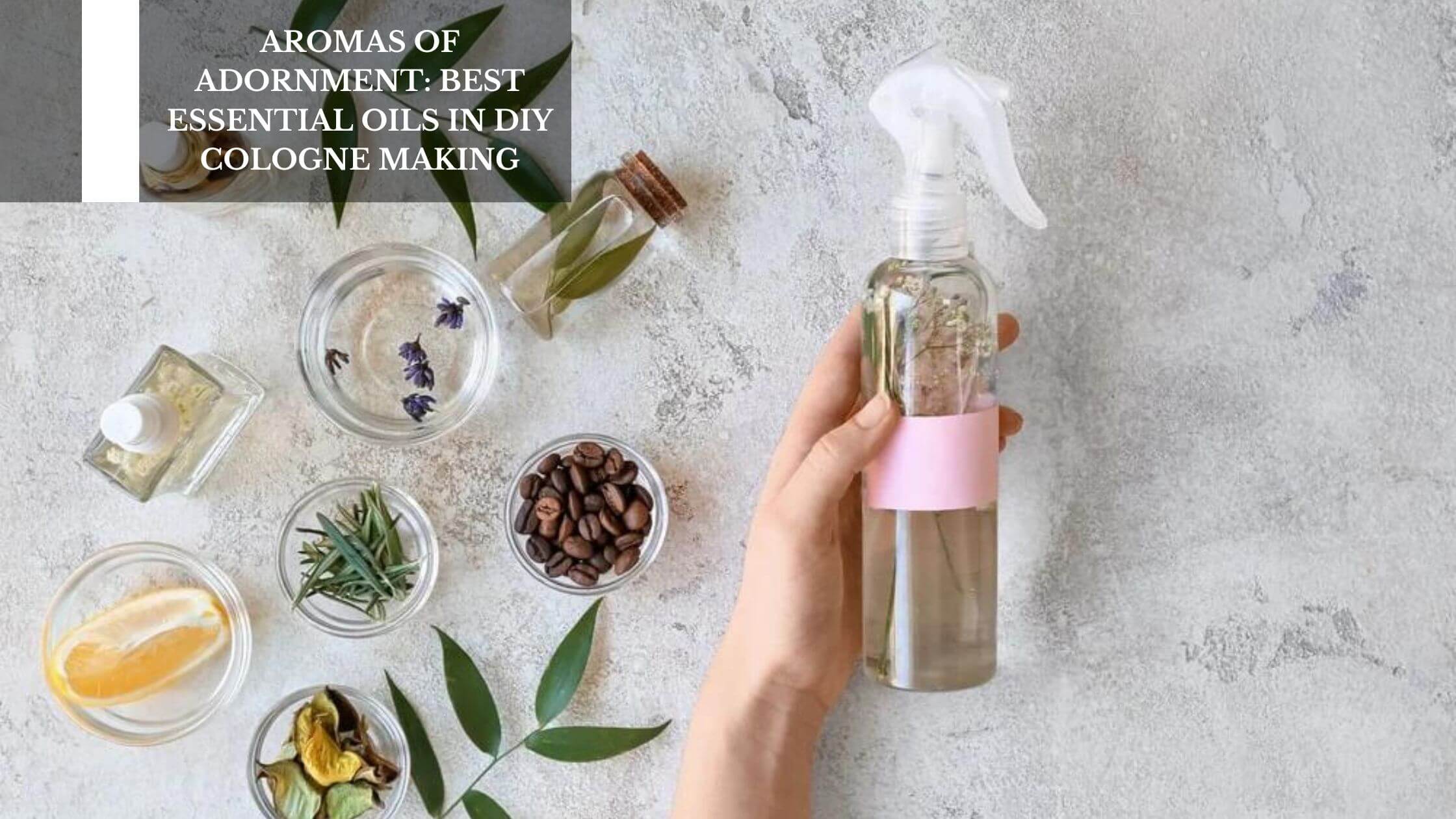 Aromas Of Adornment: Best Essential Oils In DIY Cologne Making – Moksha ...