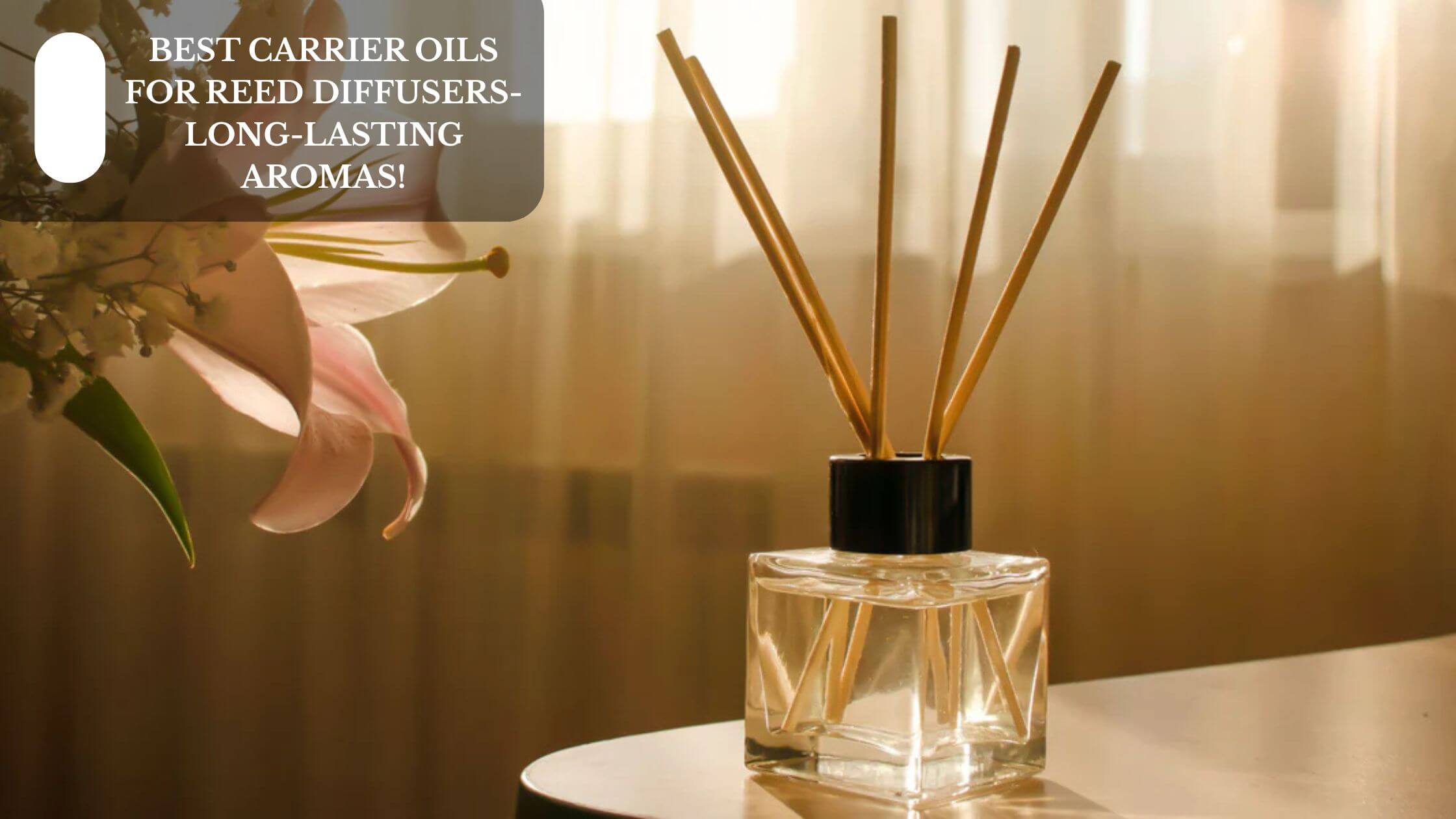Best Carrier Oils For Reed Diffusers: Long-Lasting Aromas! – Moksha ...