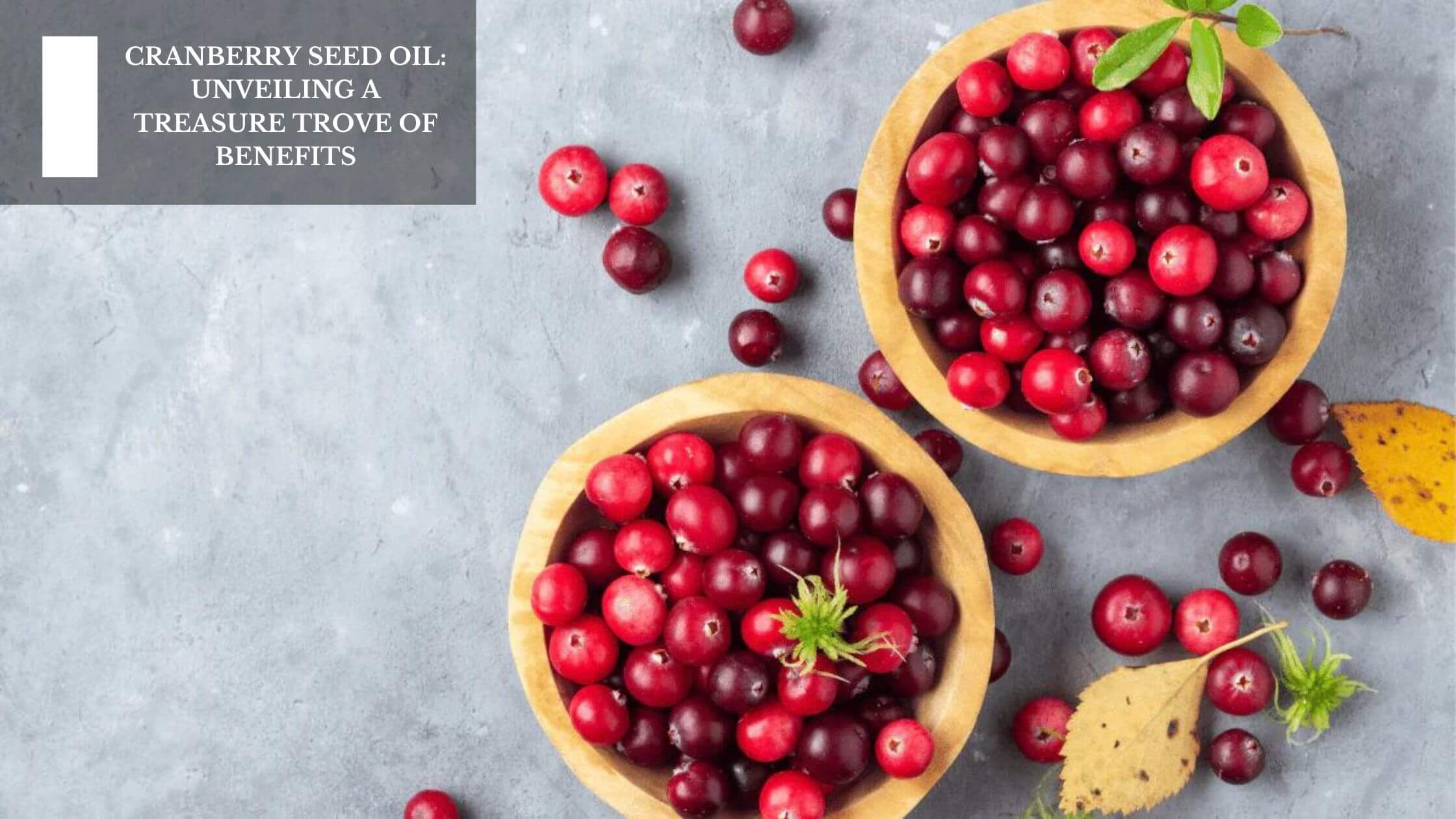 Cranberry Seed Oil: Unveiling A Treasure Trove Of Benefits – Moksha ...