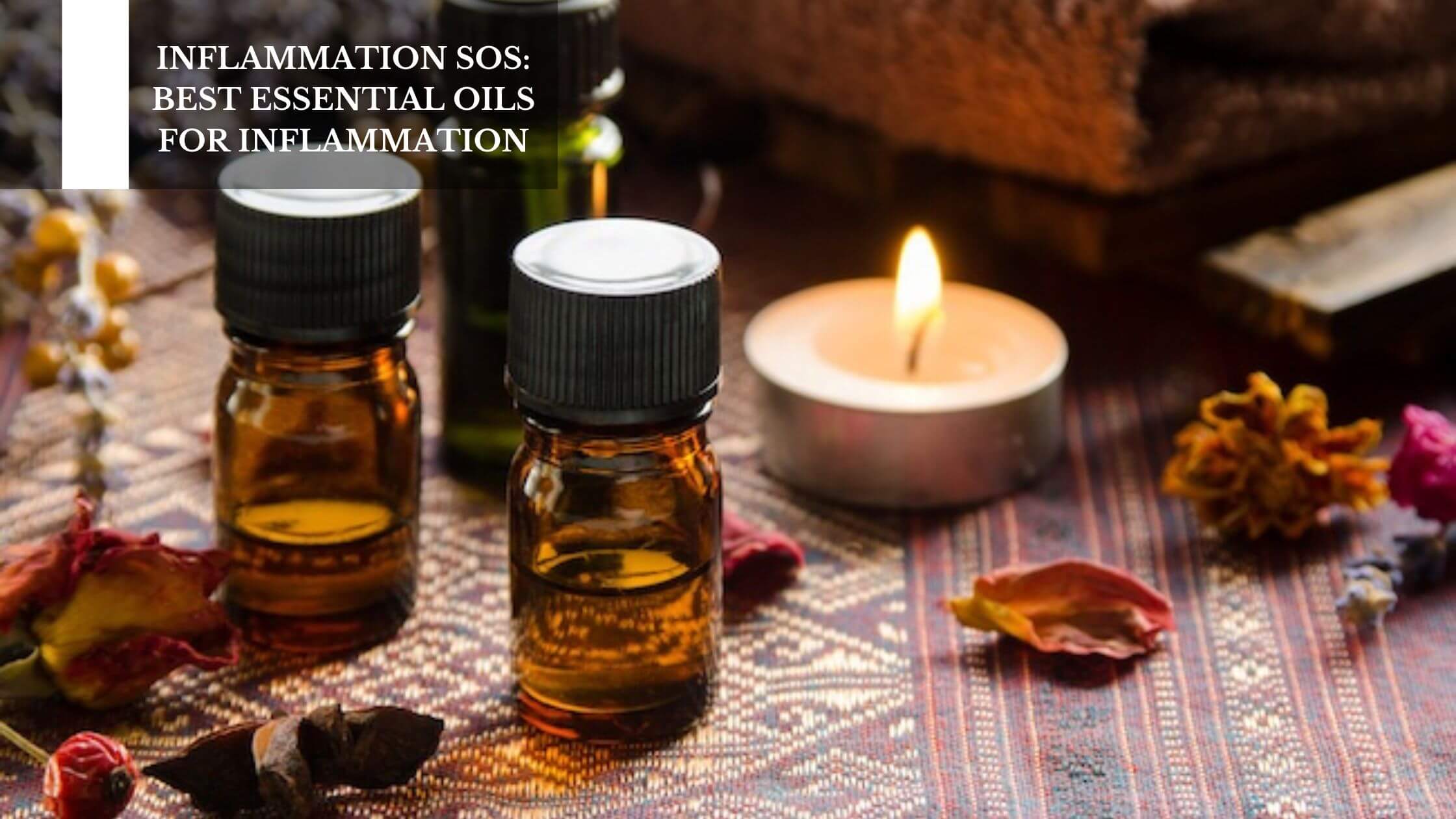 Inflammation SOS: Best Essential Oils For Inflammation – Moksha ...
