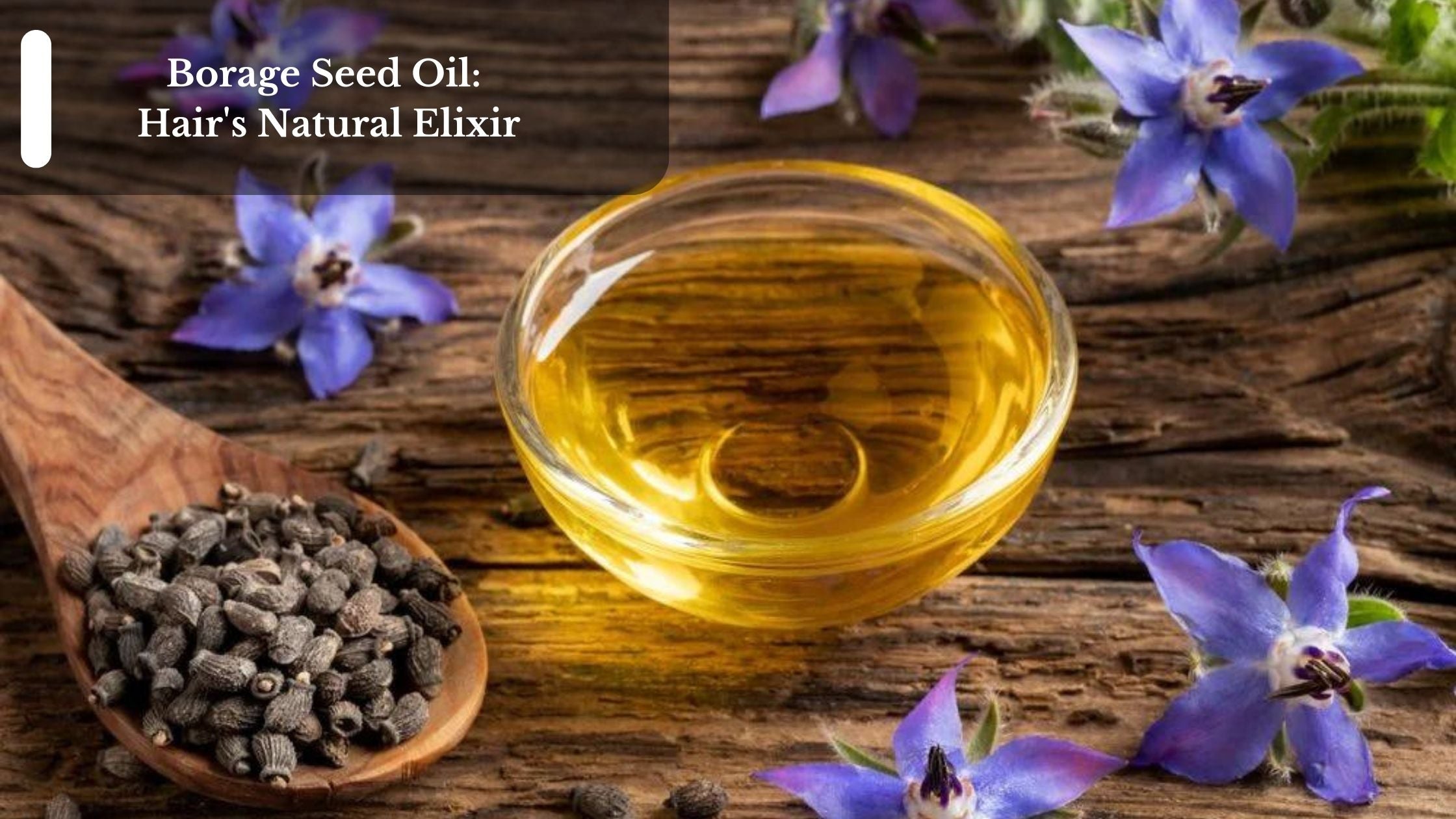 Borage Seed Oil: Hair's Natural Elixir – Moksha Lifestyle Products