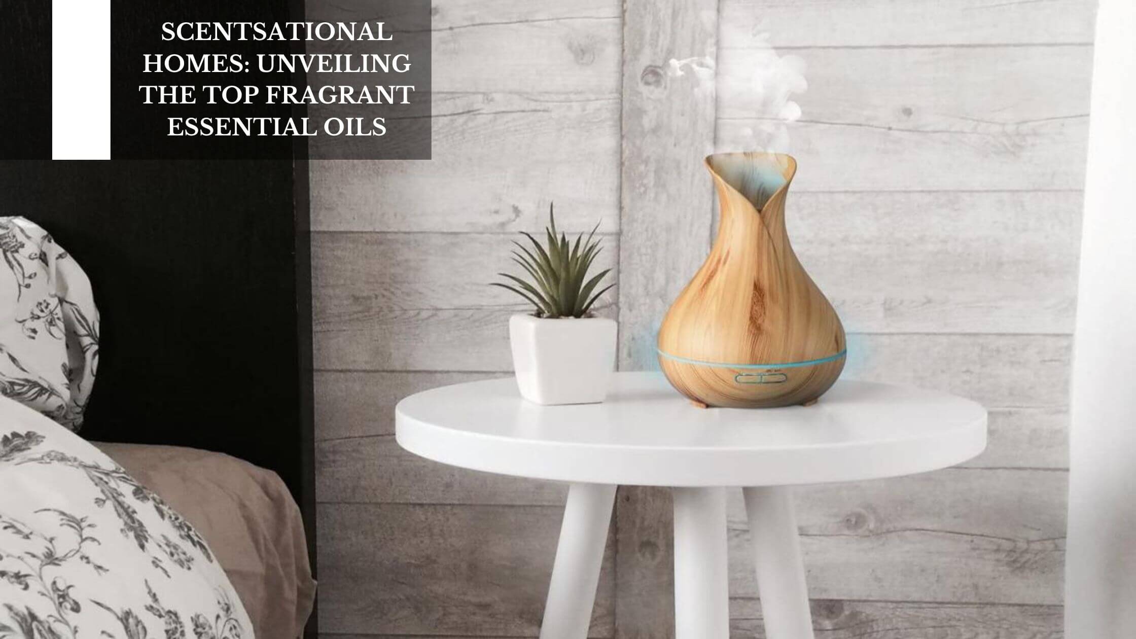 Scentsational Homes: Unveiling The Top Fragrant Essential Oils – Moksha ...