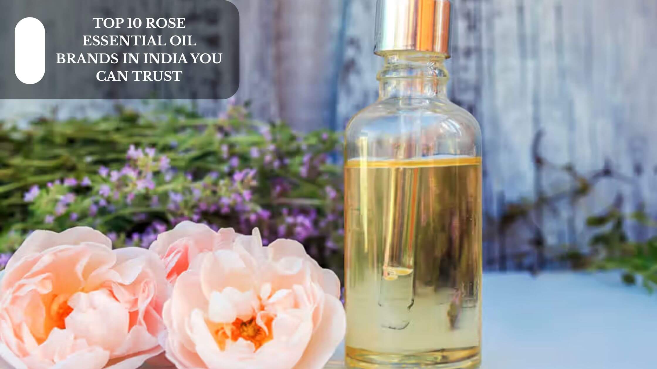 Top 10 Rose Essential Oil Brands In India You Can Trust – Moksha ...