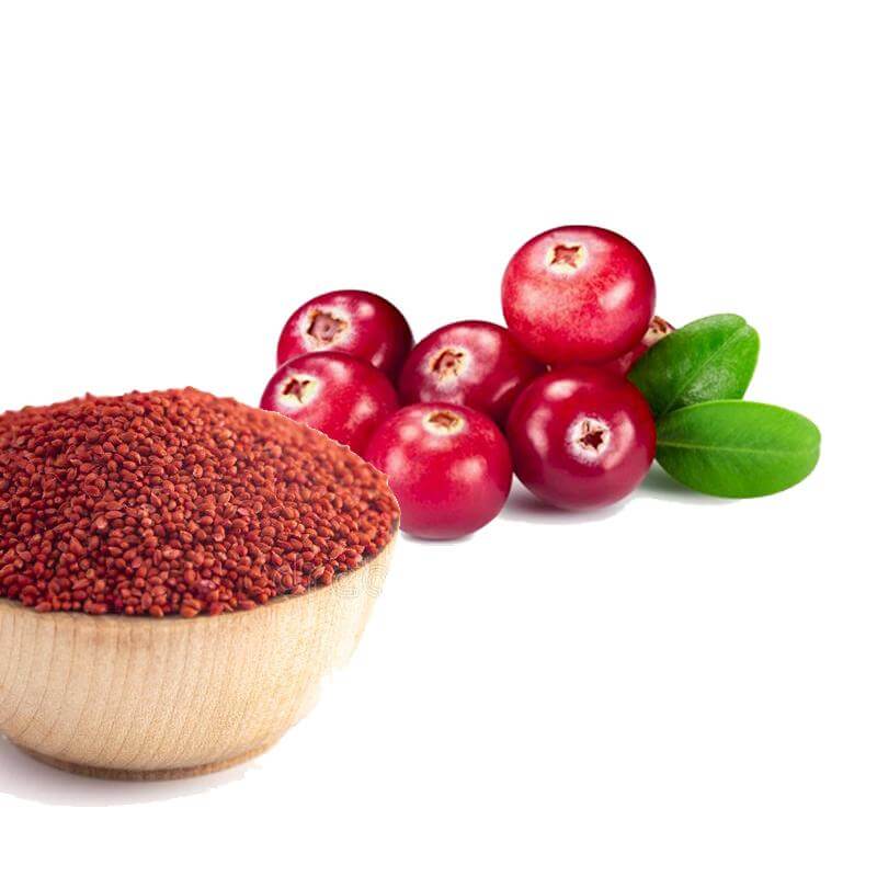 Buy Pure Organic Cold Pressed Cranberry Seed Oil Online in India at ...